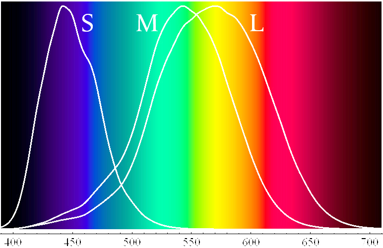 Color | Richard Nilsen