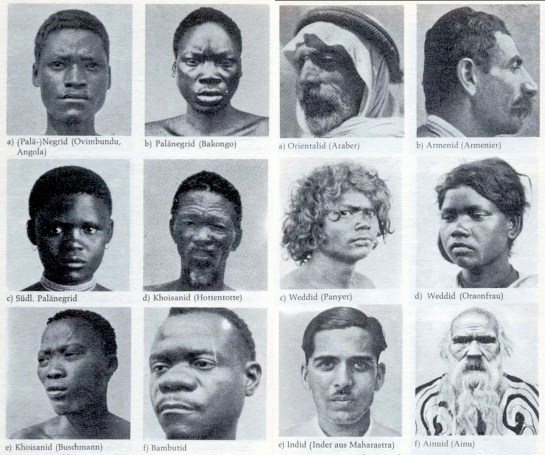 halle berry | Richard Nilsen