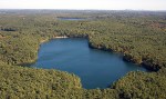 Walden Pond | Richard Nilsen