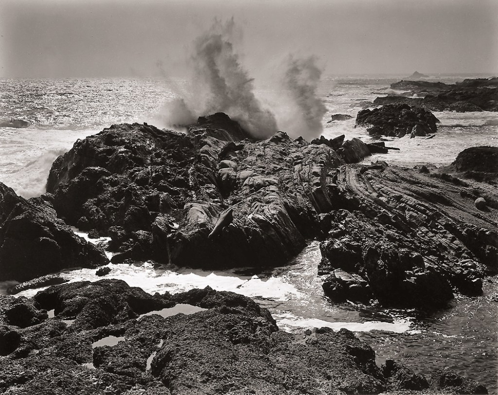 Edward Weston, photographer | Richard Nilsen