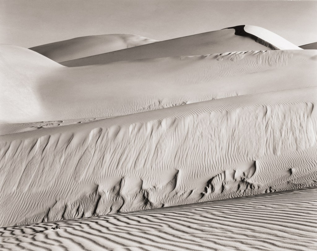Edward Weston, photographer | Richard Nilsen